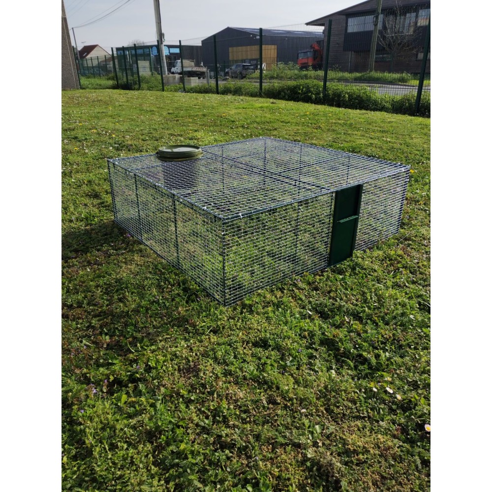 cage pré-lacher perdrix