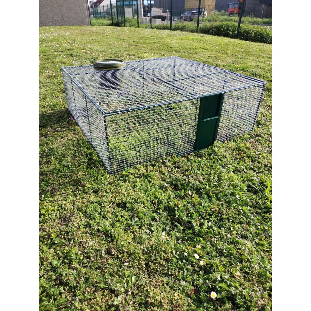 cage pré-lacher perdrix