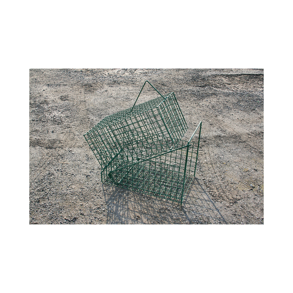 Cage de capture pour mustélidés.