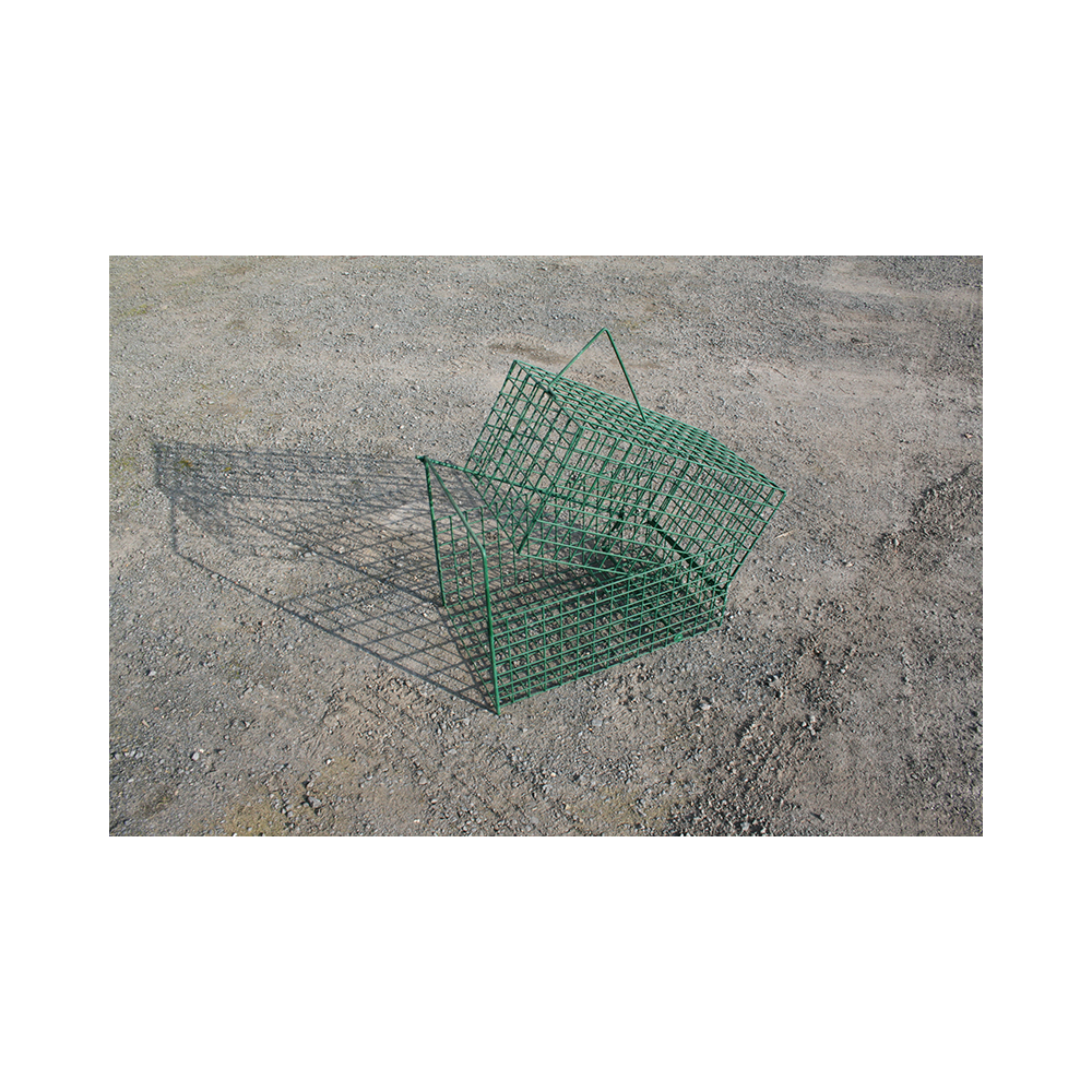 Cage de capture pour mustélidés.