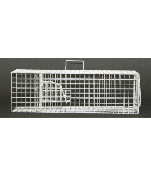 Nasse à rats musqués une entrée