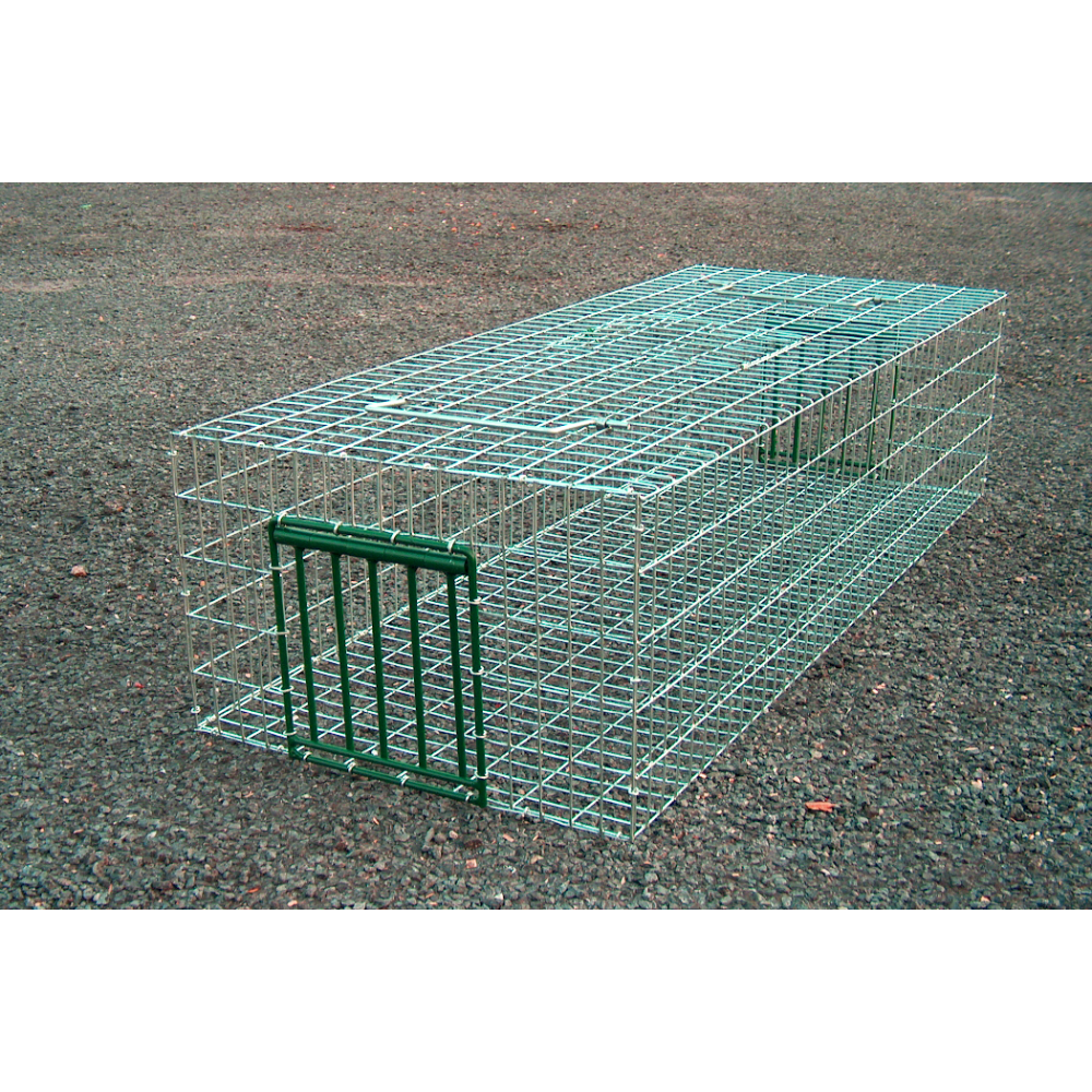 Pièges à pigeons et geais.