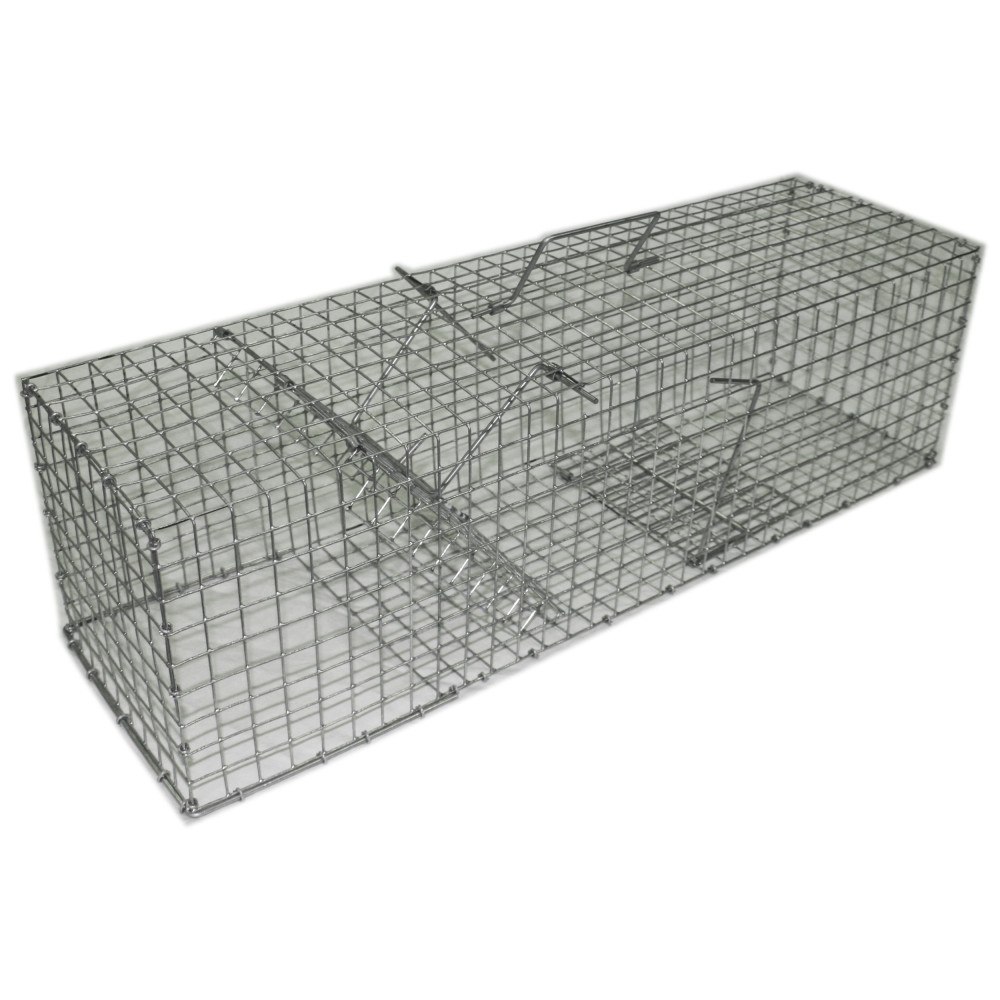 Piège à rat : Nasse en grillage pour trou de rats et souris.