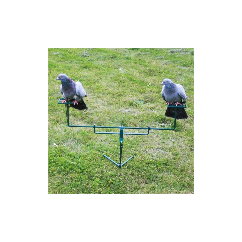 Palette à pigeon double à poser.